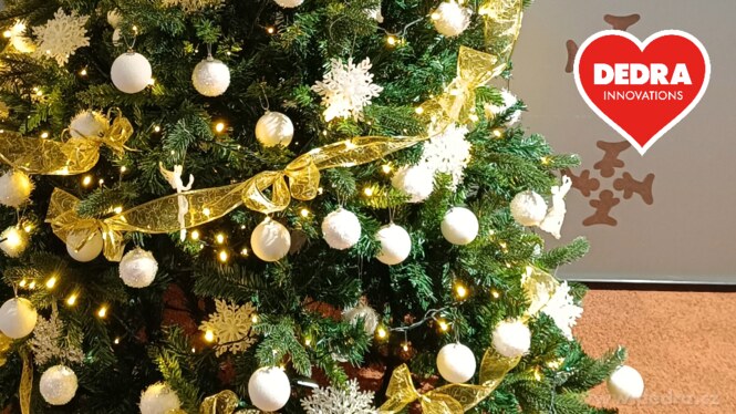 Vaše DEDRA - oficiální stránky